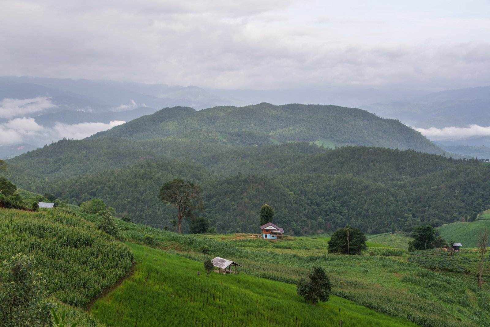 Ban Pa Pong Piang, the most beautiful rice fields in Thailand