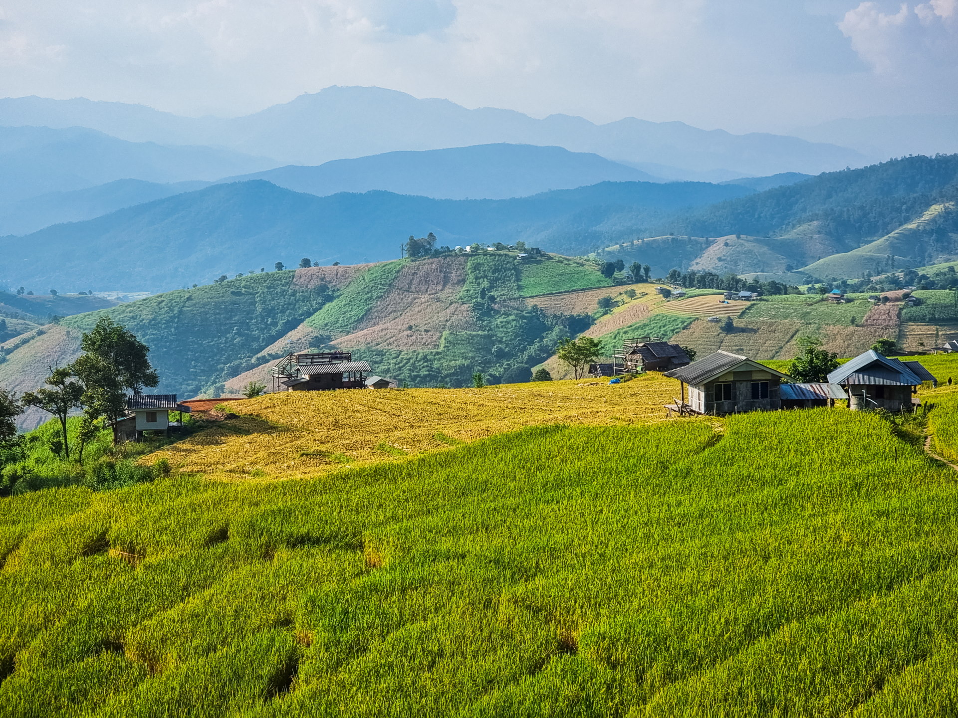 Ban Pa Pong Piang, the most beautiful rice fields in Thailand