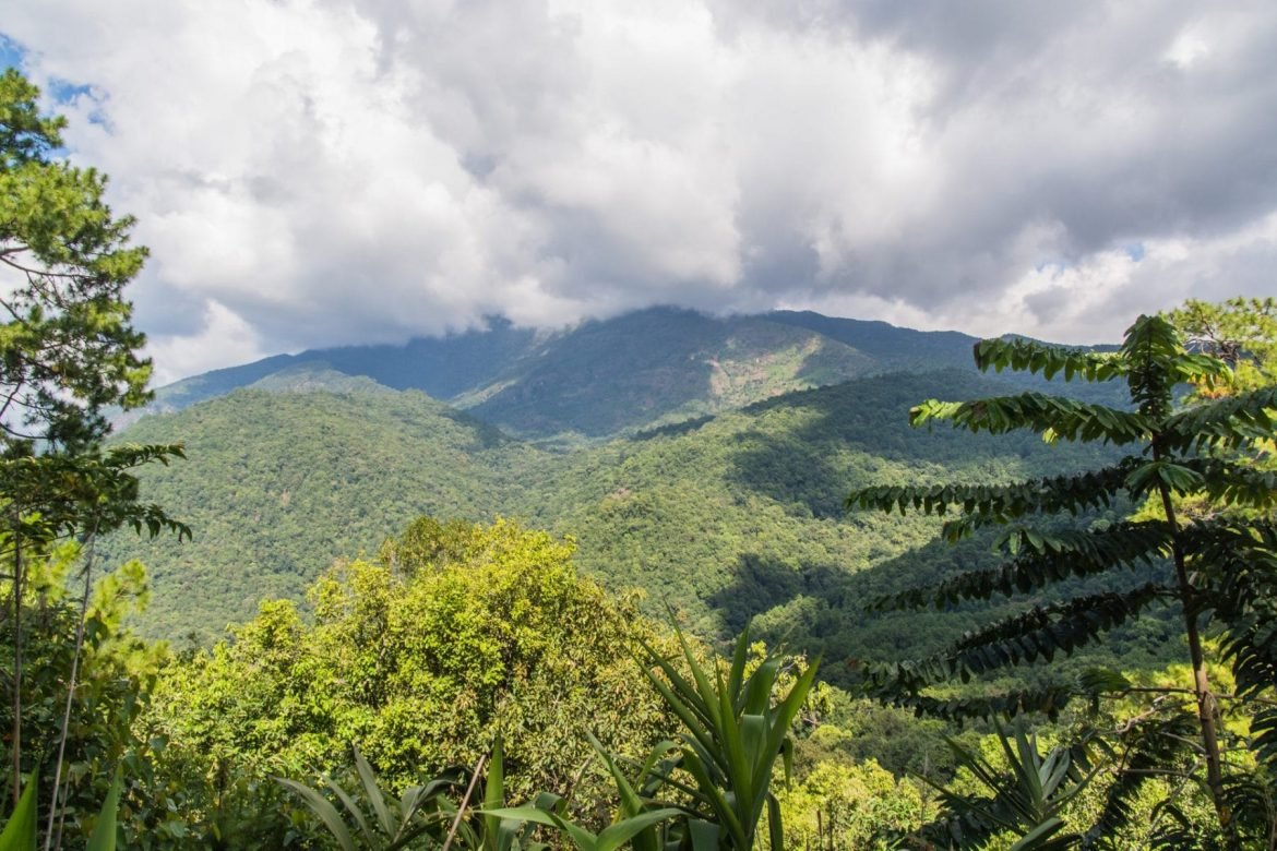 Visiter le Doi Inthanon : Tout ce qu'il faut savoir
