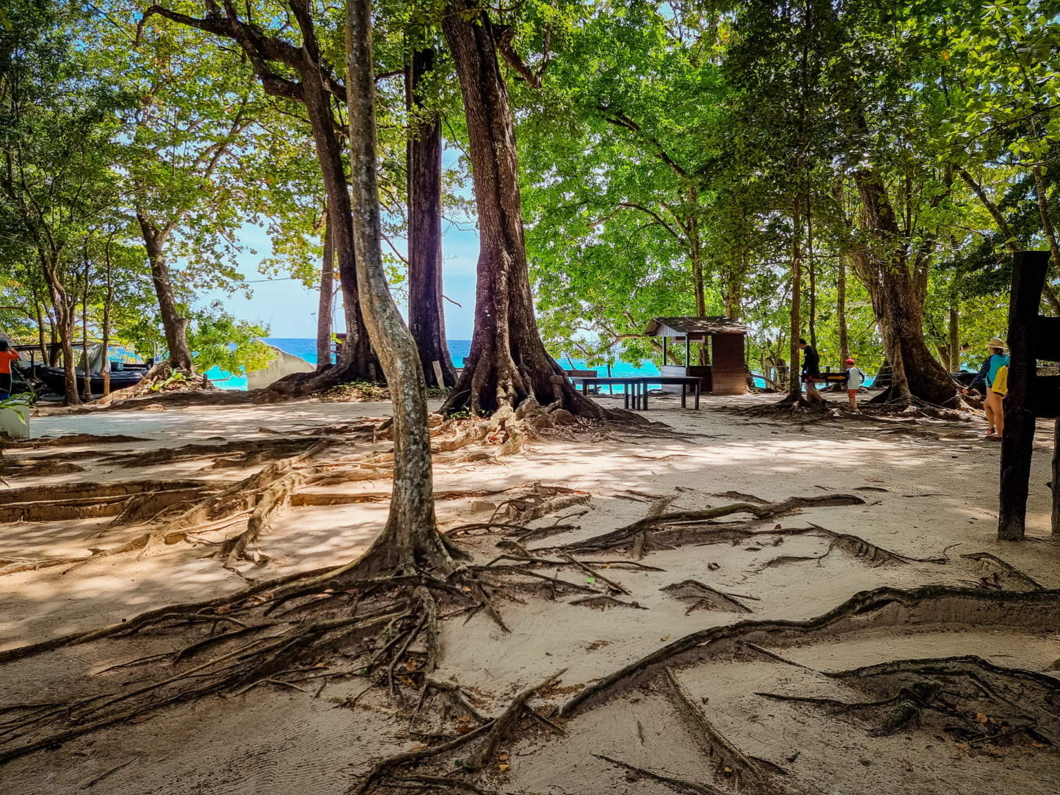 Les îles Similan : tout savoir sur ce paradis du snorkeling en Thaïlande